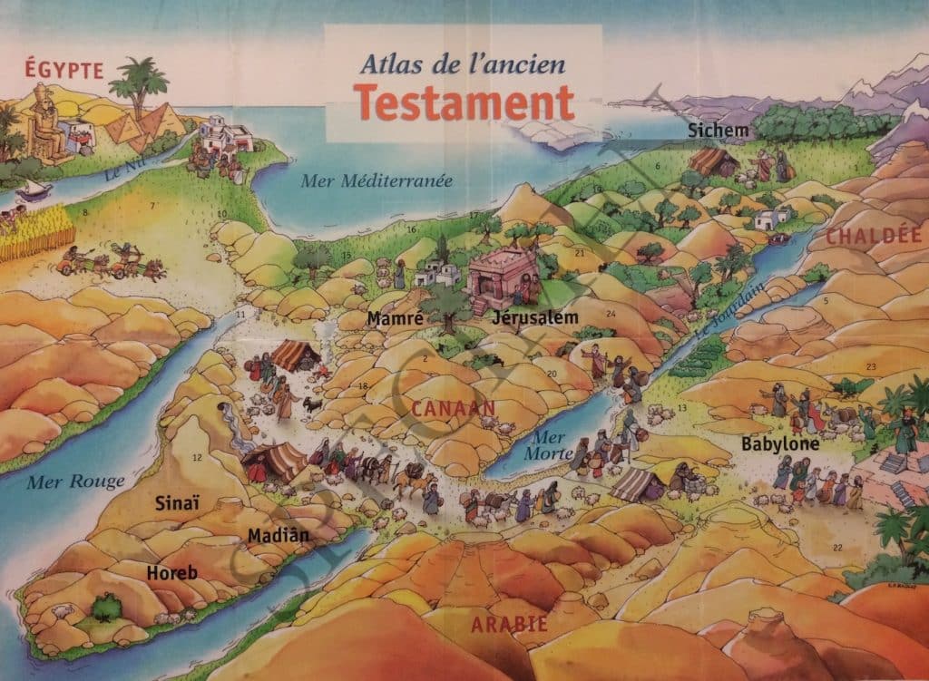 Matériel d'animation - CatéSion